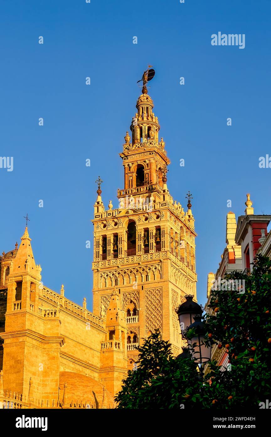 seville cathedral, exterior architecture detail, medieval building ...