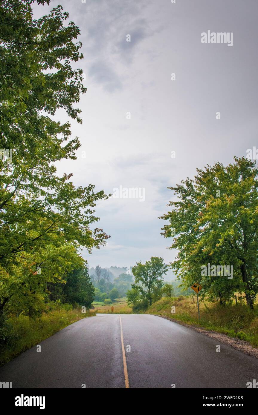 A rural road surrounded by green trees. Southern Ontario, Canada Stock ...