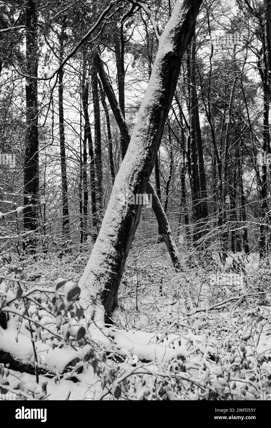 Black scenery hi-res stock photography and images - Alamy