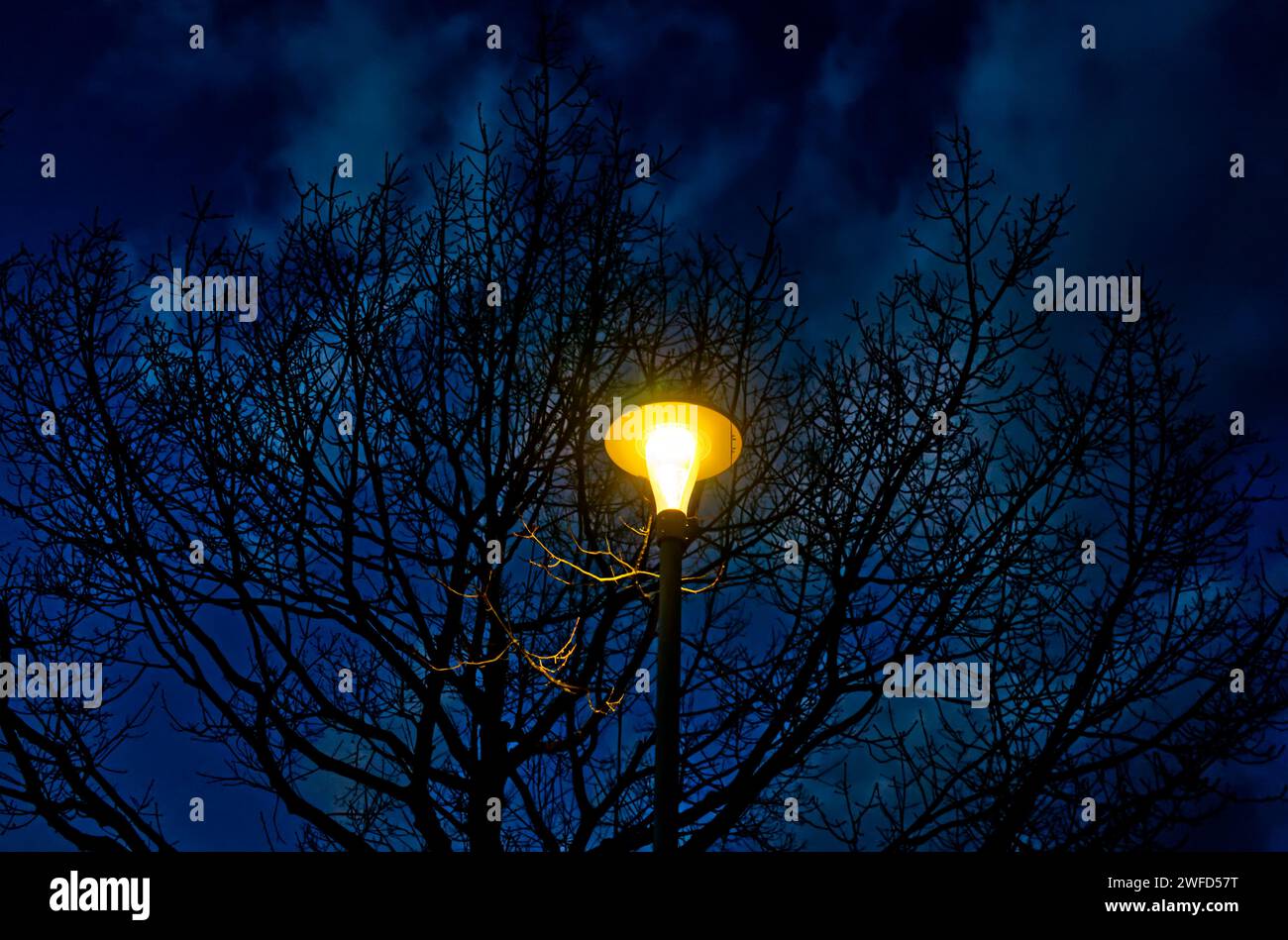 Single lamppost of a modern street lamp emitting warm yellow light in ...