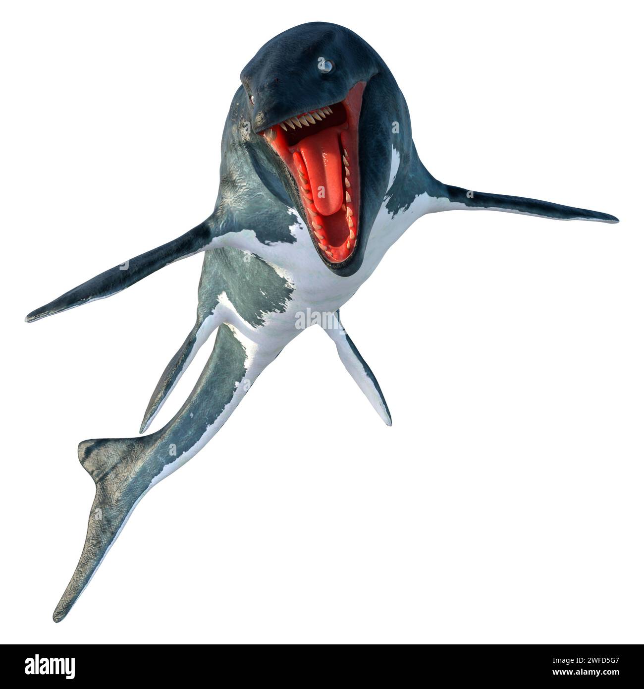 3D rendering of a large marine extinct reptile Mosasaur isolated on ...