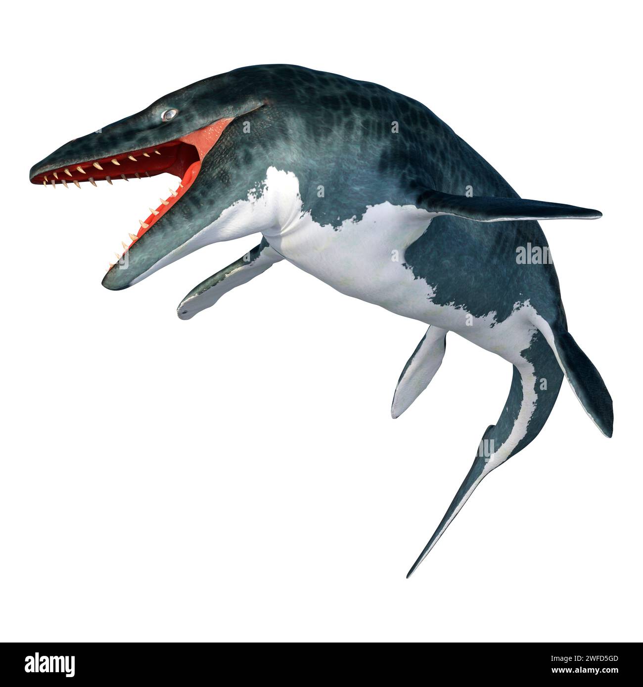 3D rendering of a large marine extinct reptile Mosasaur isolated on ...
