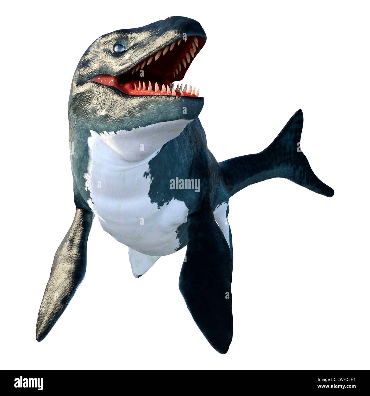 3D rendering of a large marine extinct reptile Mosasaur isolated on ...