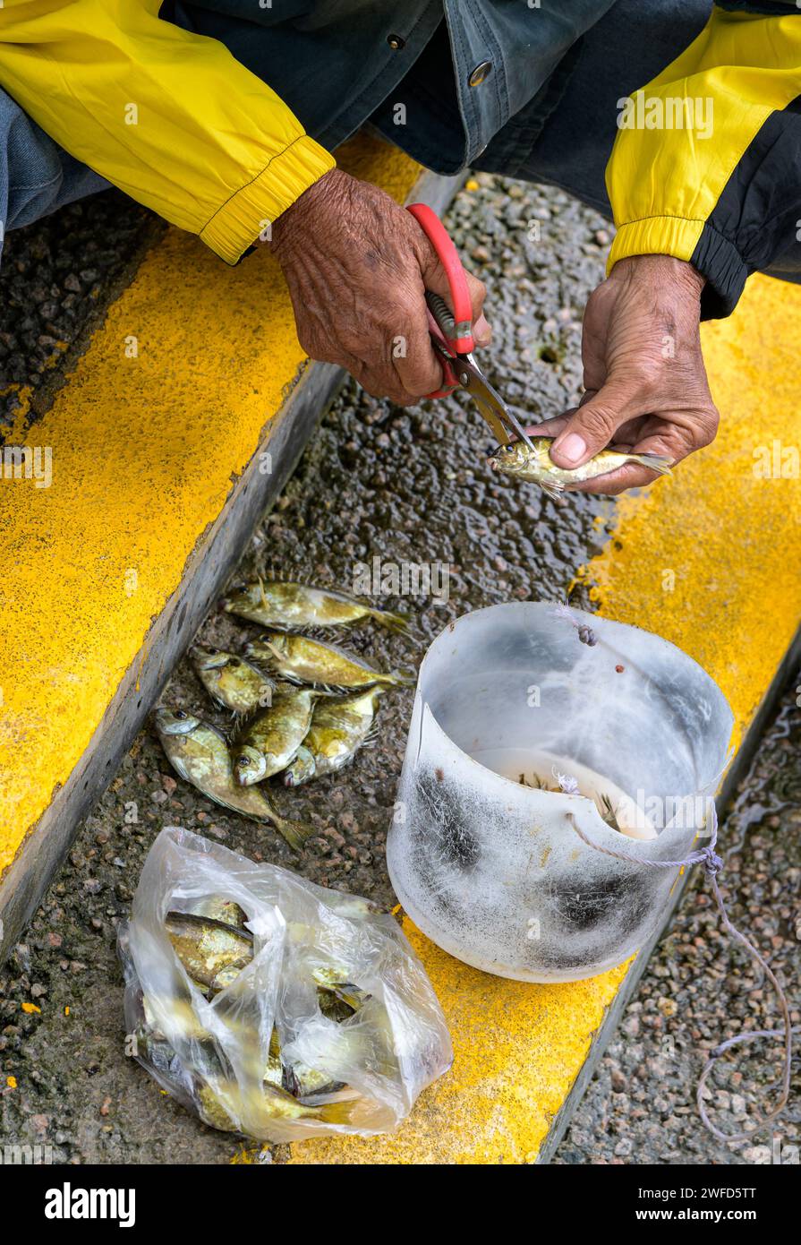 HONG KONG SAR,CHINA. January 26th, 2024. A local fisherman In Victoria ...