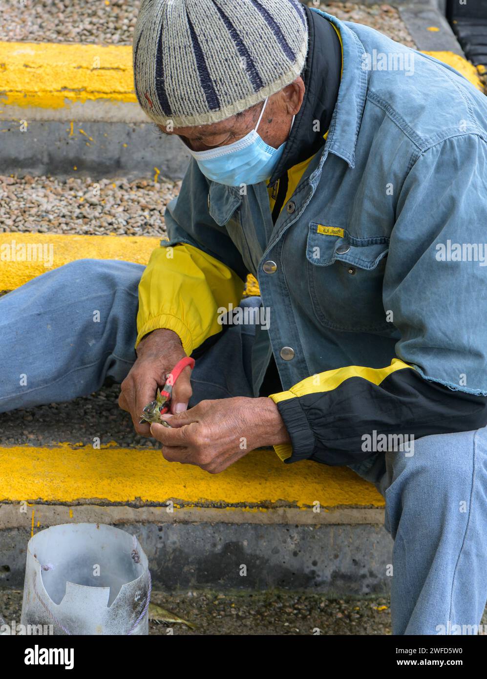 HONG KONG SAR,CHINA. January 26th, 2024. A local fisherman In Victoria ...