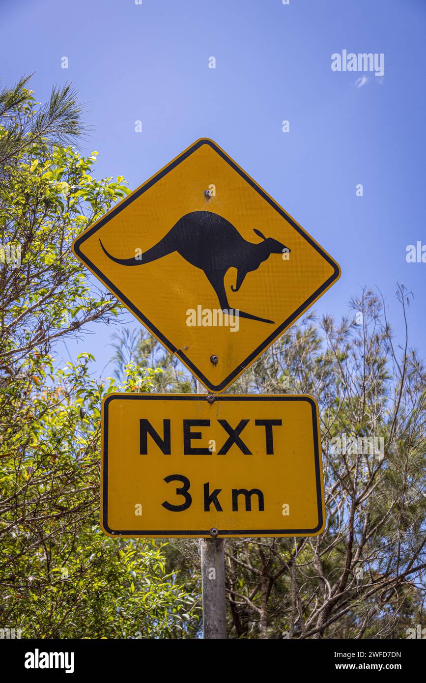 Kangaroo road sign, Australia Stock Photo - Alamy