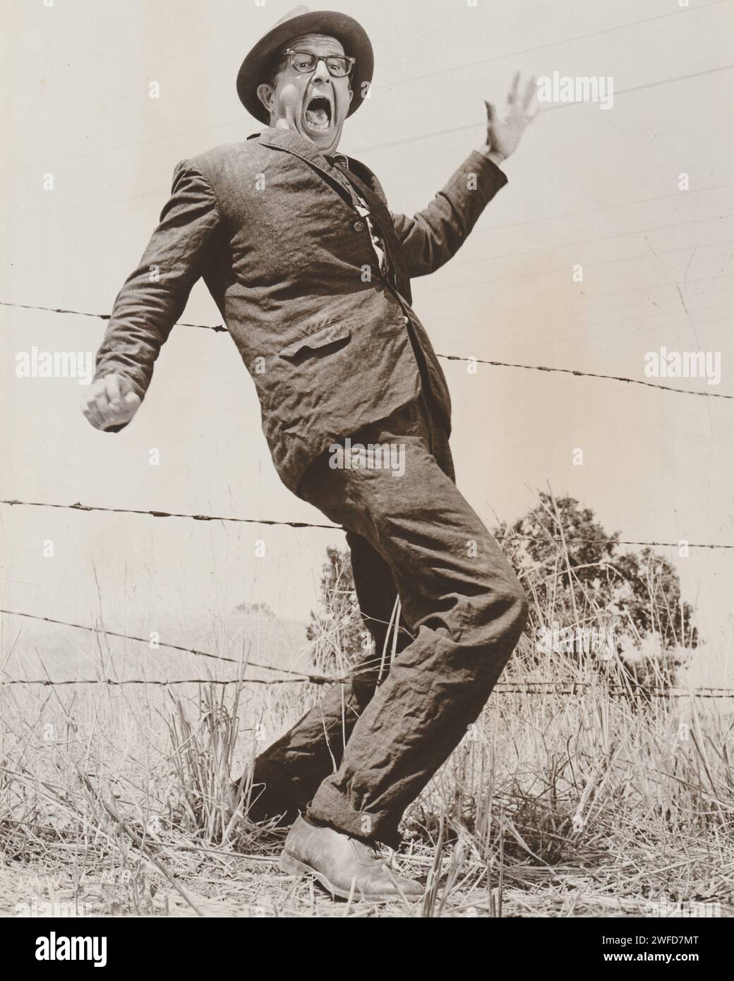 Its a mad mad mad mad world hi-res stock photography and images - Alamy