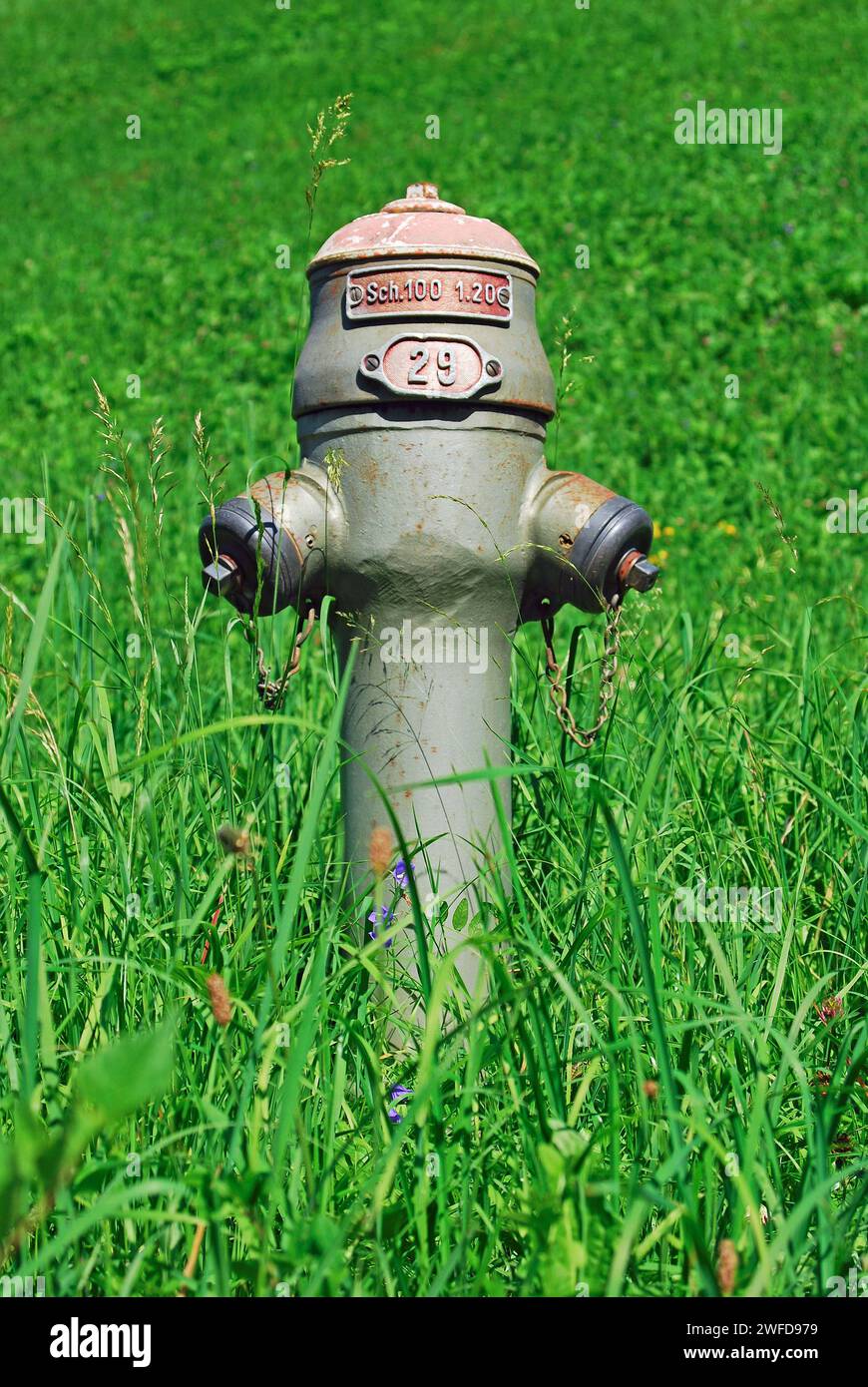 Fire hydrant and green grass Stock Photo - Alamy