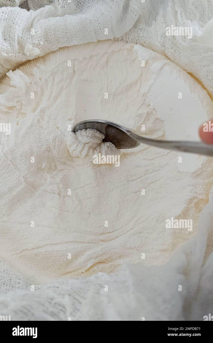 Homemade cream cheese for sandwiches. Homemade cream cheese Stock Photo ...