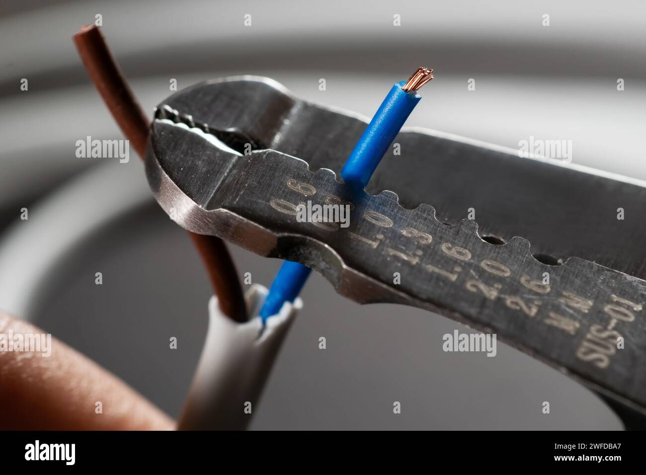 Close-up of a stripped ground wire by a wire stripper Stock Photo - Alamy