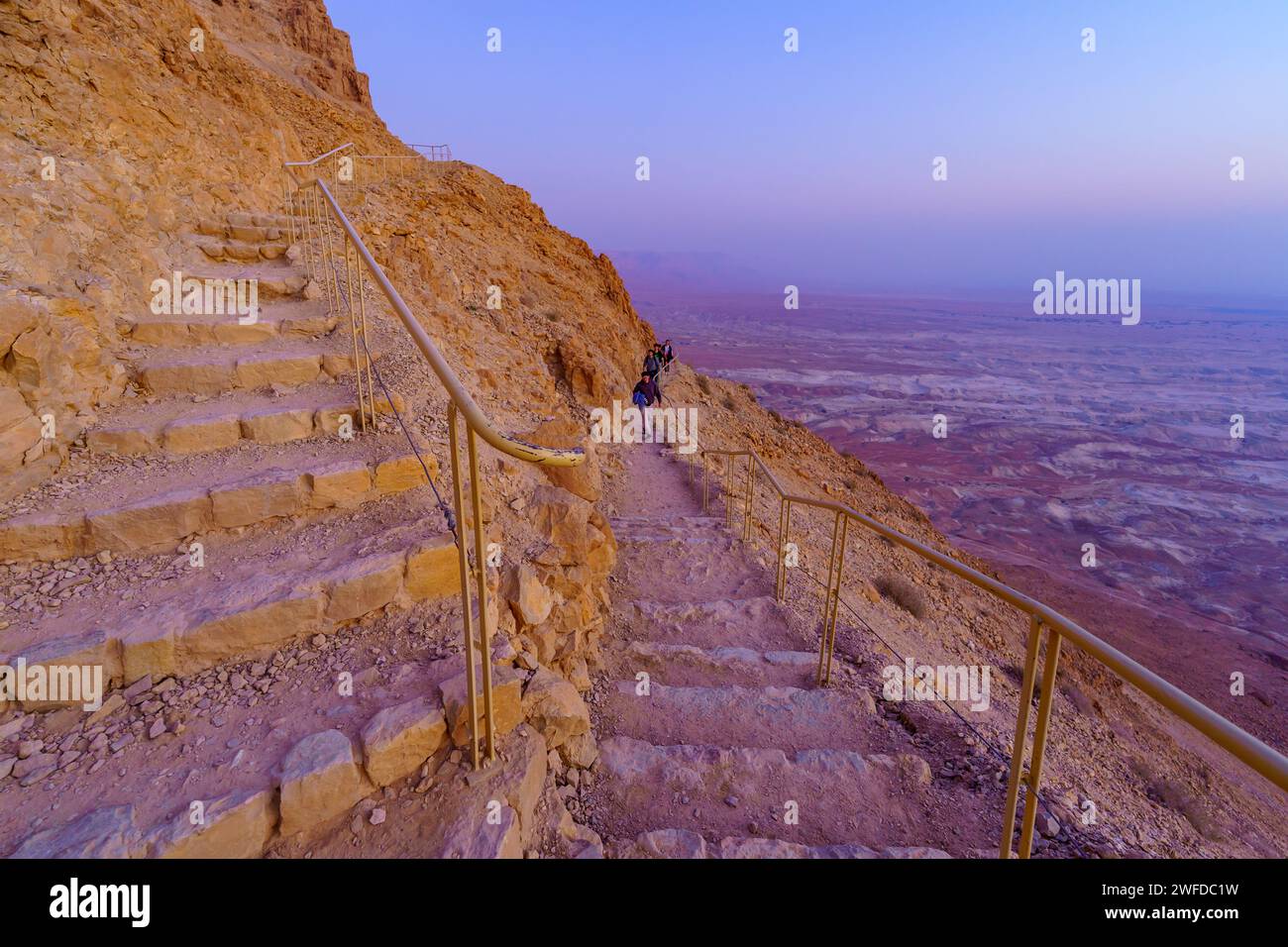 Desert snake middle east hi-res stock photography and images - Alamy