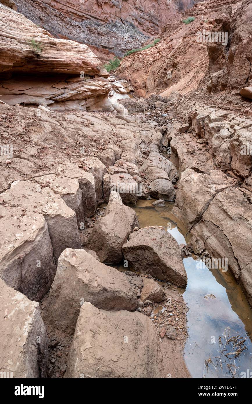 Silt from Powell Reservoir eroding near the mouth of Clearwater Canyon ...