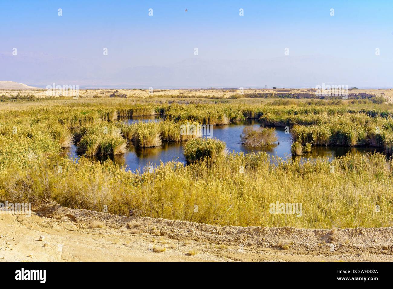 View of the Sodom Salt Marshes Observation Point and bird sanctuary ...
