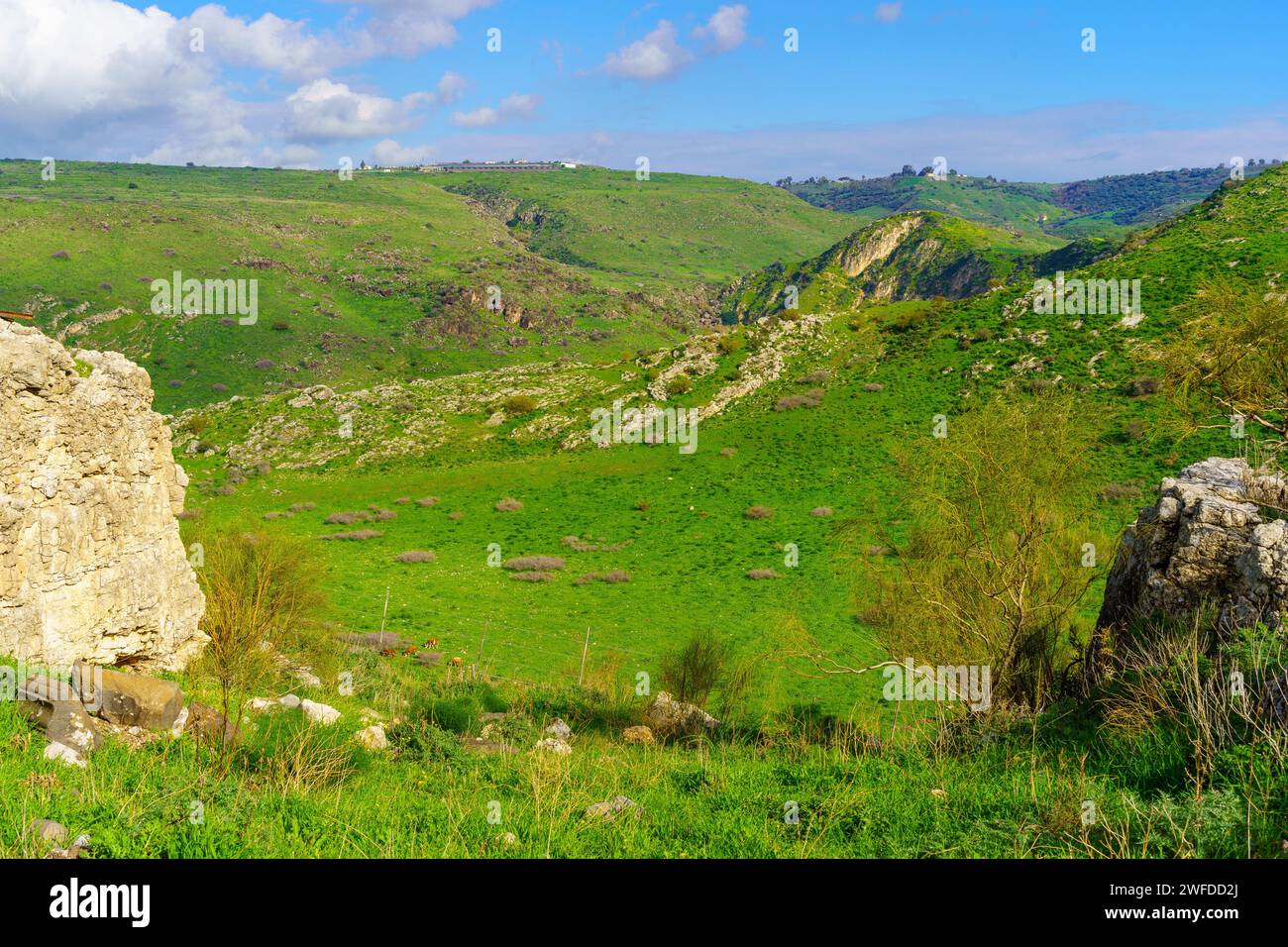 View of landscape of the southern part of the Golan Heights, Northern ...
