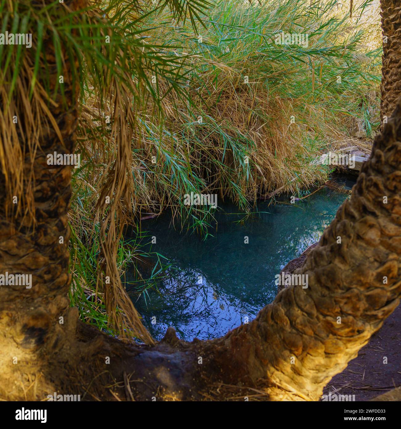 Plutit hi-res stock photography and images - Alamy