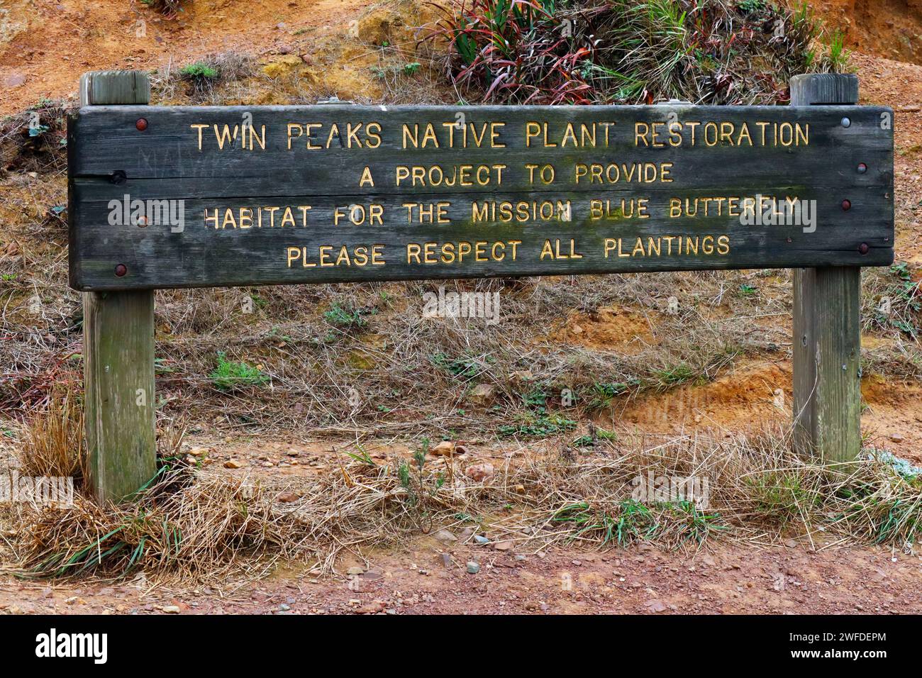 San Francisco, California: sign of Twin Peaks native plant restoration ...