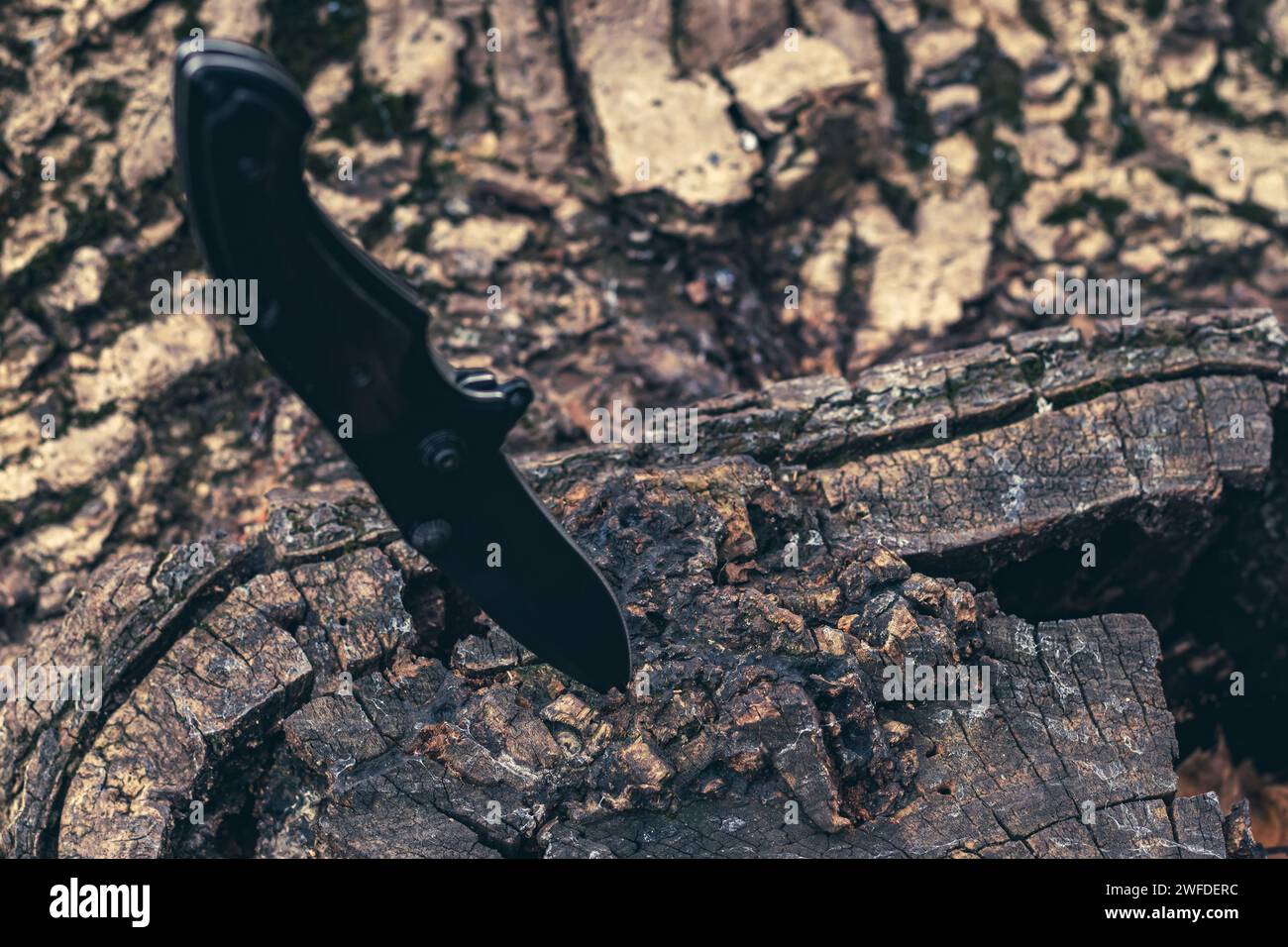 Wilderness tactical hi-res stock photography and images - Alamy