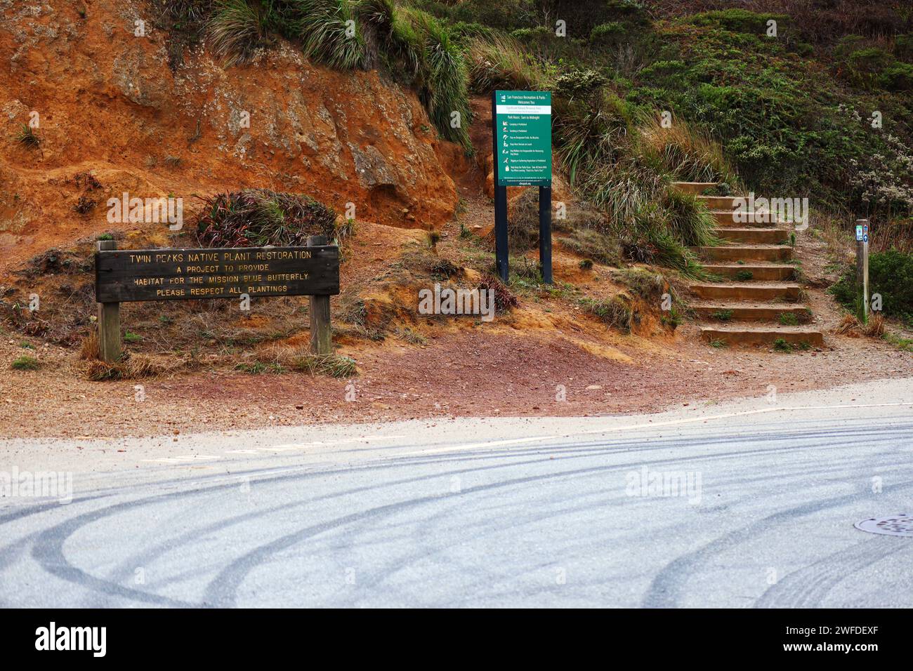 San Francisco, California: sign of Twin Peaks native plant restoration ...