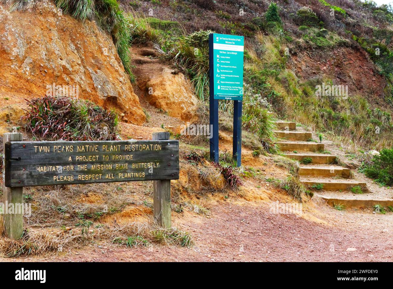 San Francisco, California: sign of Twin Peaks native plant restoration ...