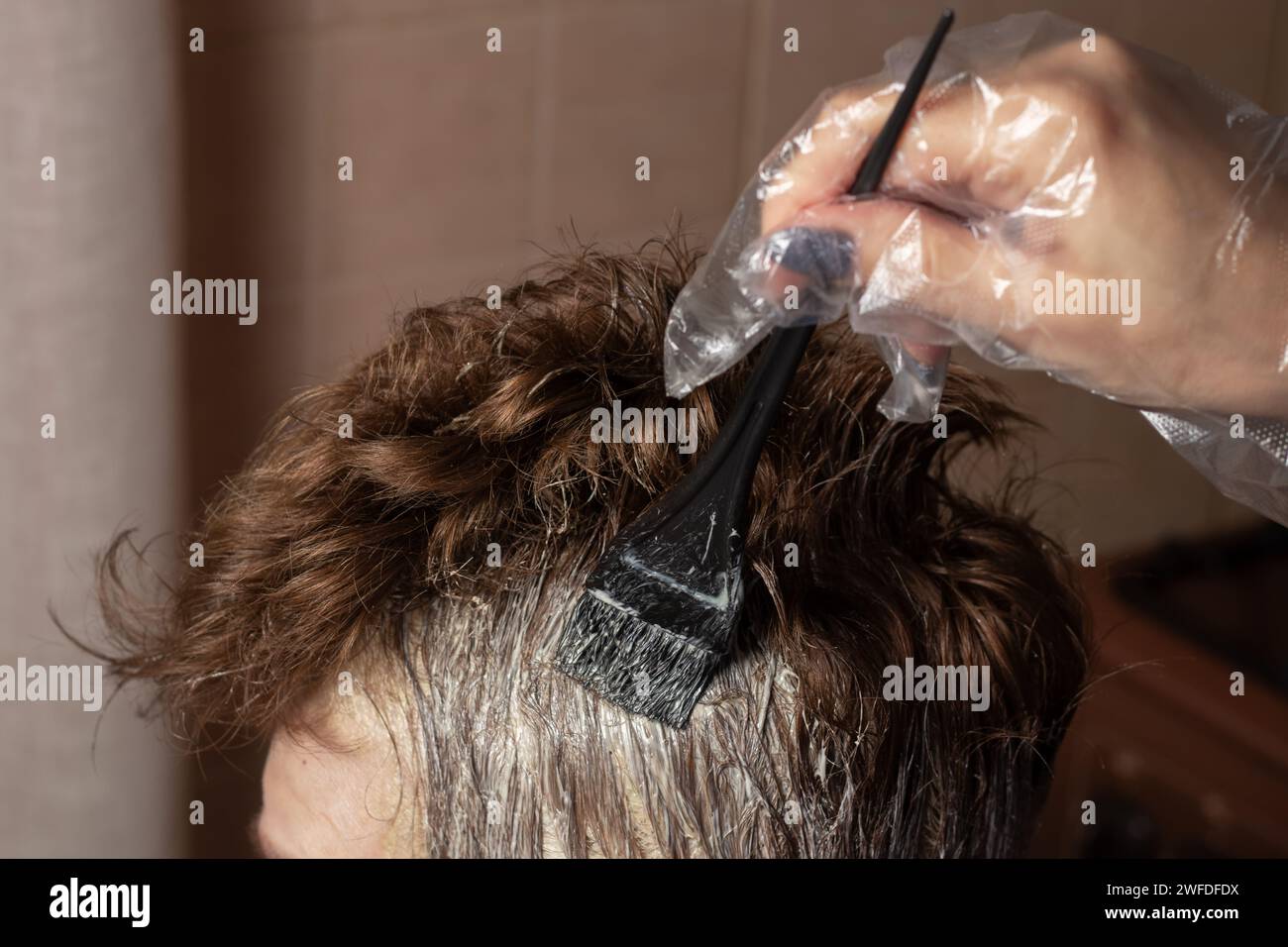 Closeup woman hands dyeing hair using a black brush. Colouring of white ...