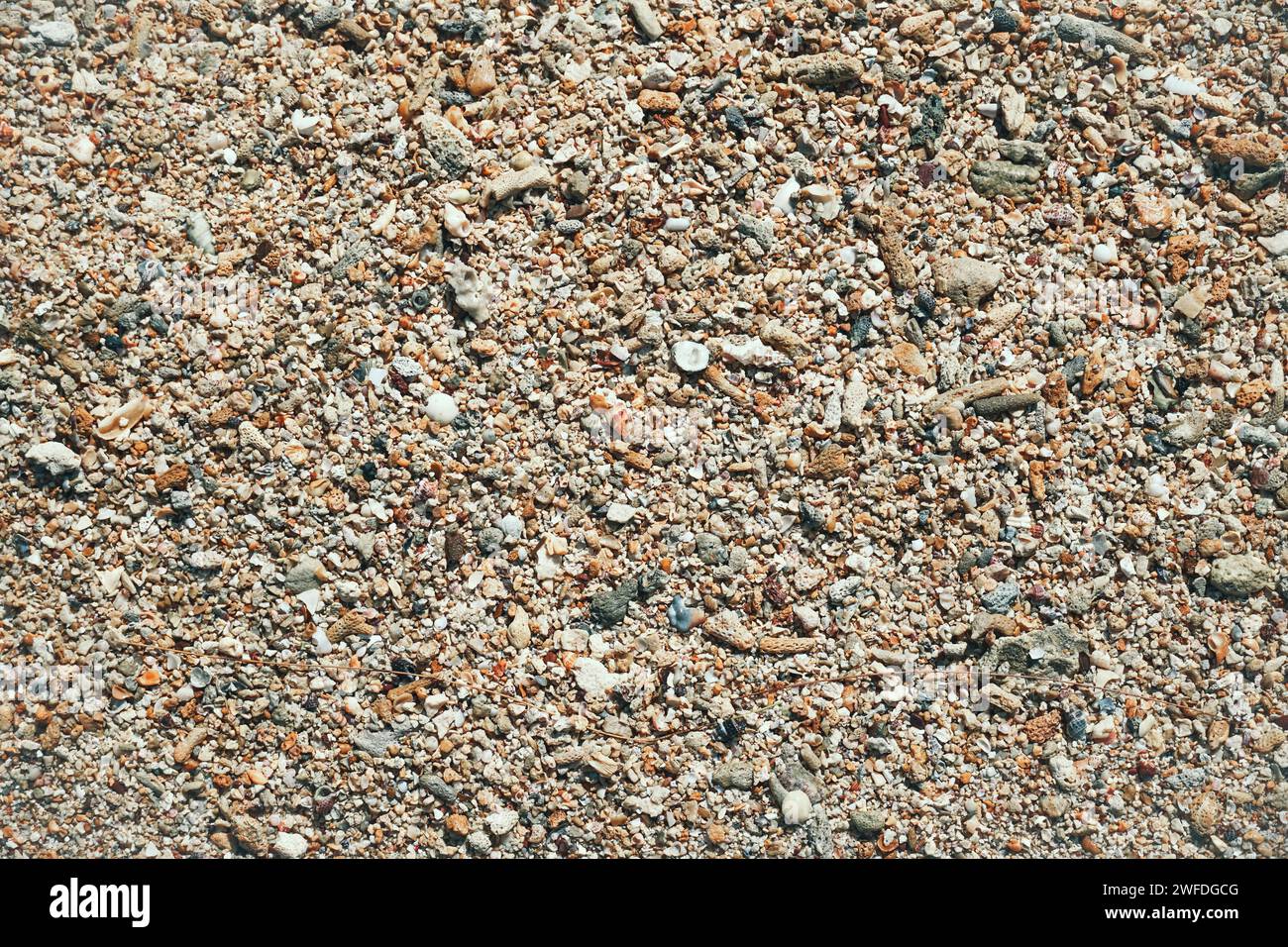 Dead coral fragments lying on a beach, Beach texture, Rocky beach ...