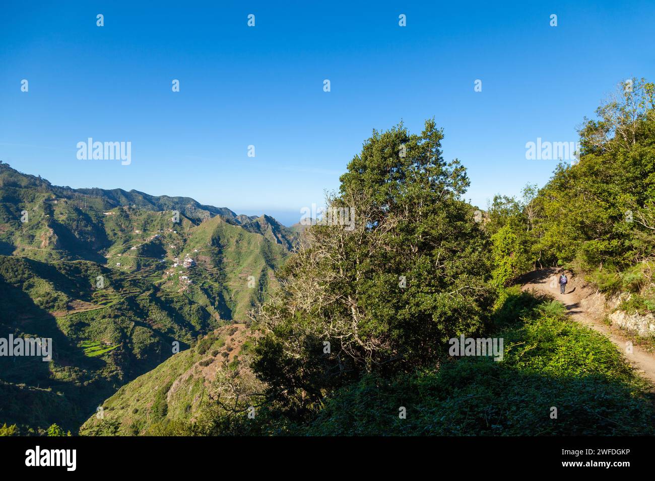 Rural park of anaga hi-res stock photography and images - Alamy