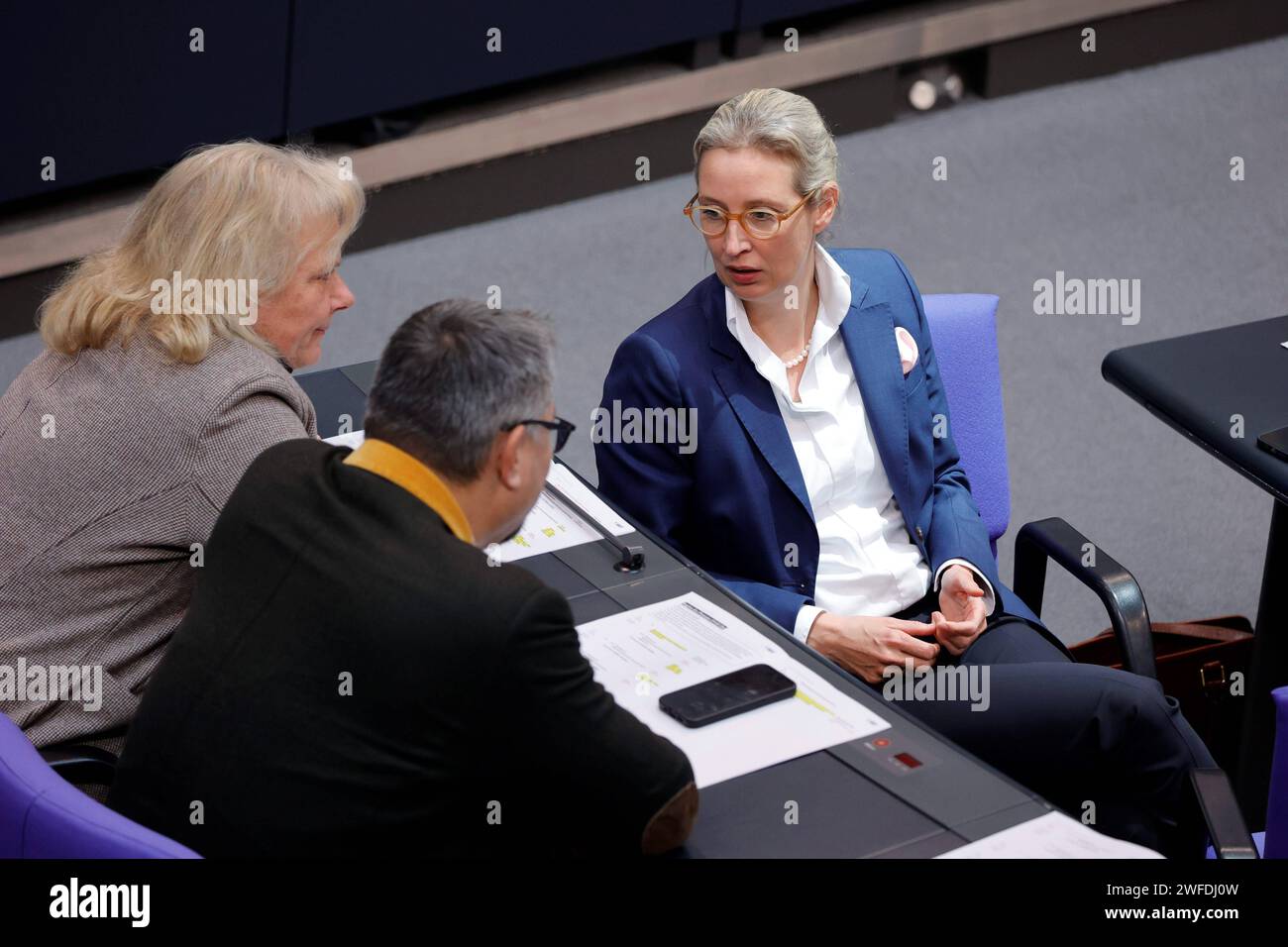 Dr. Alice Weidel, AfD, Deutschland, Berlin, Reichstag, 30. Januar 2024 ...