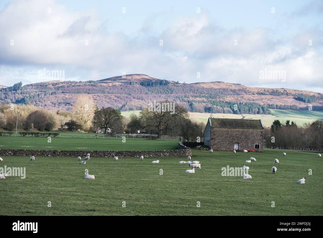 Sharp haw and Rough Haw on a clear winter's day taken from between ...