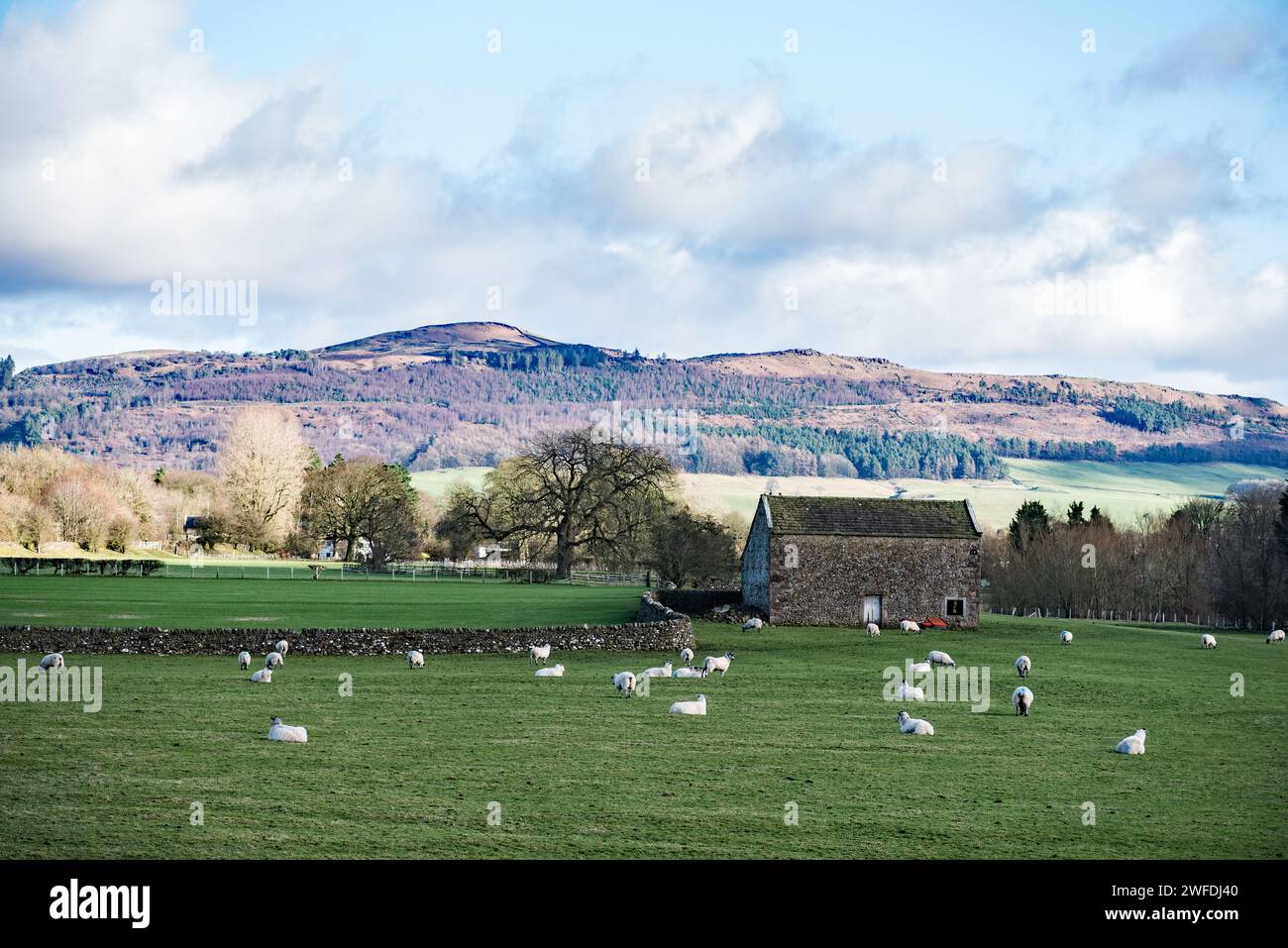 Sharp haw and Rough Haw on a clear winter's day taken from between ...