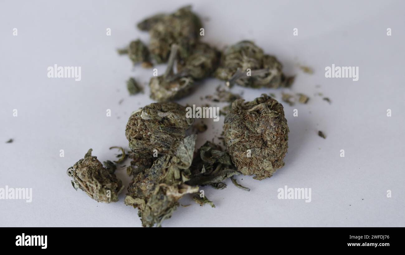 Marijuana smoking party hi-res stock photography and images - Alamy