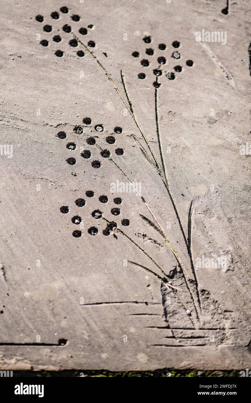 Interesting addition of a floral pattern to paving slabs in Gargrave ...