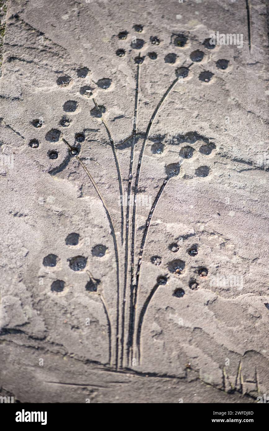 Interesting addition of a floral pattern to paving slabs in Gargrave ...