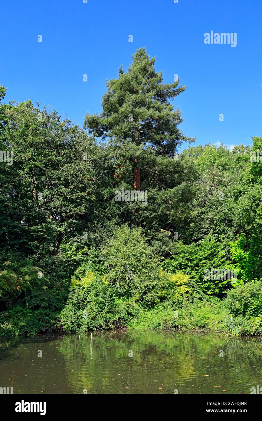 Canton park hi-res stock photography and images - Alamy