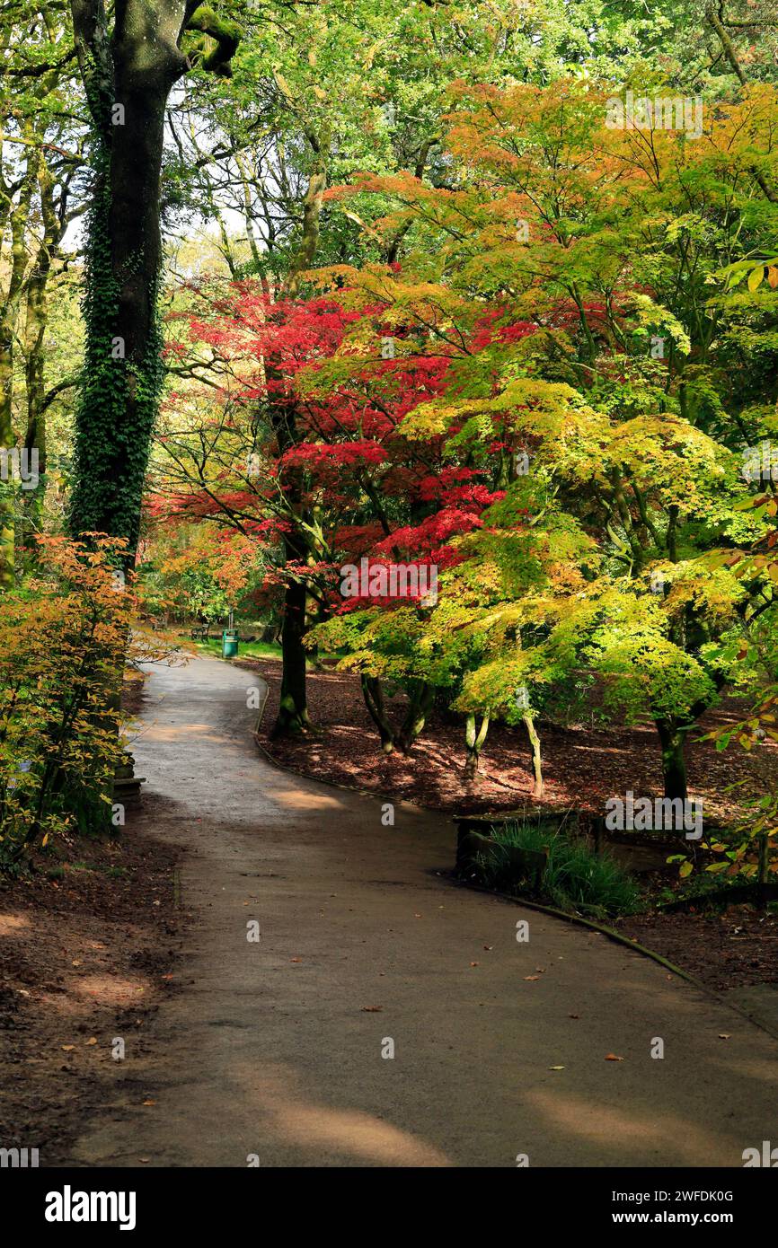 Autumn colours Parc Cefn Onn, Lisvane, Cardiff, South Wales Stock Photo ...