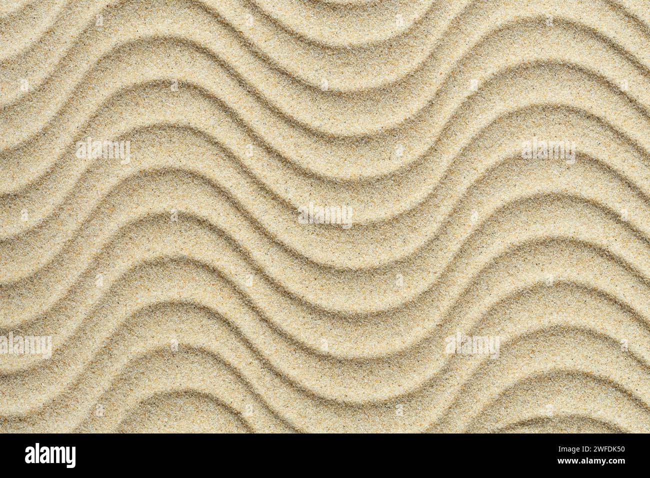 Patern in nature hi-res stock photography and images - Alamy