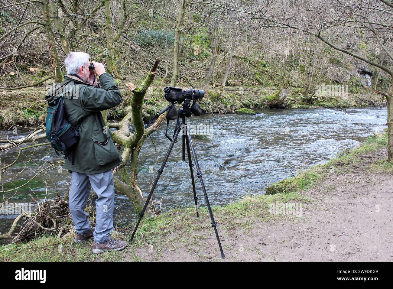 Man birdwatching hi-res stock photography and images - Alamy