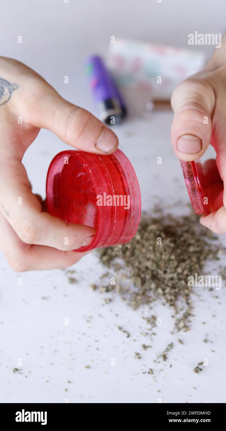 person puts weed in scraper Stock Photo - Alamy