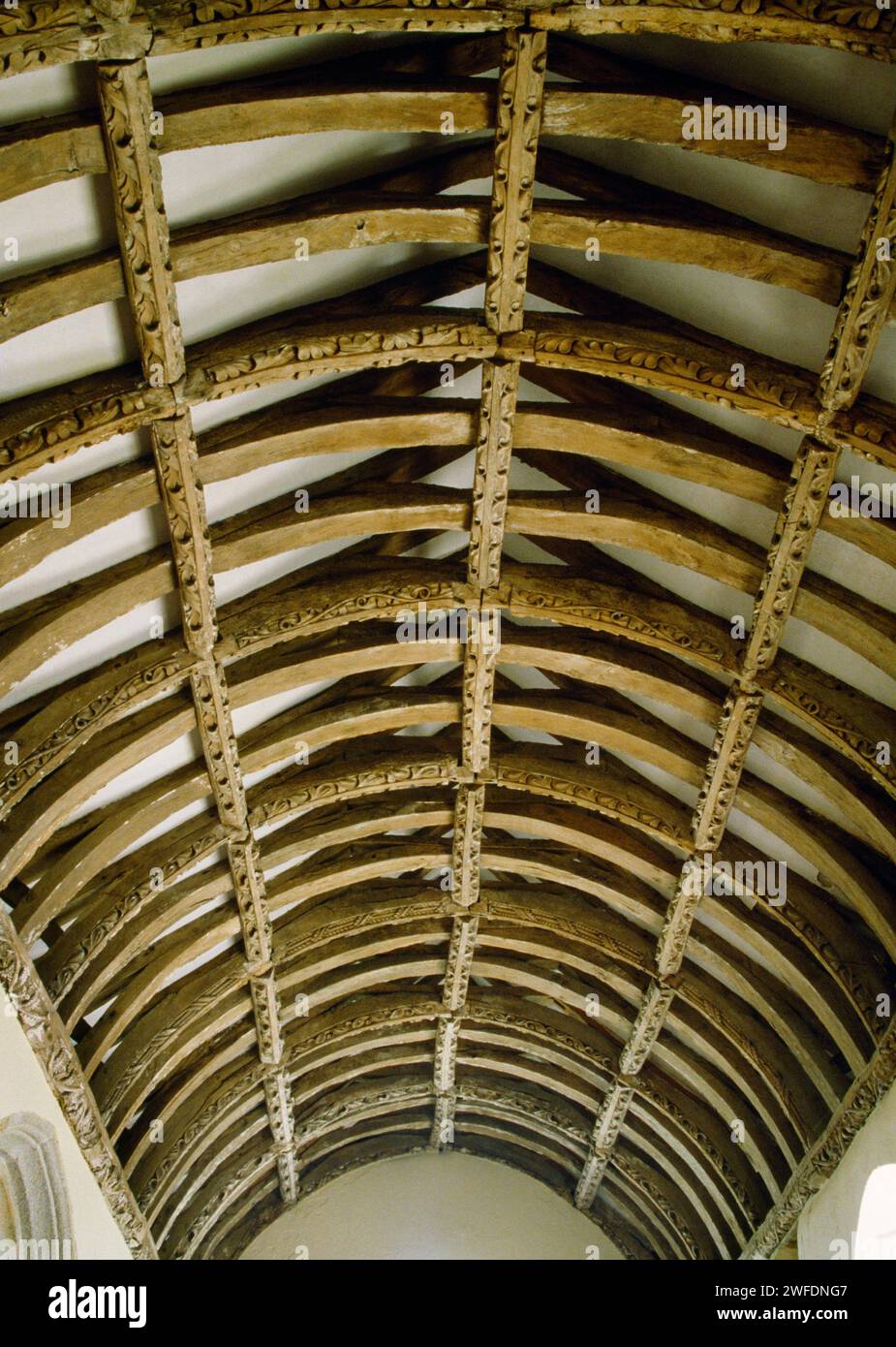 The C15th carved oak wagon roof (cradle roof) in the south aisle of St ...