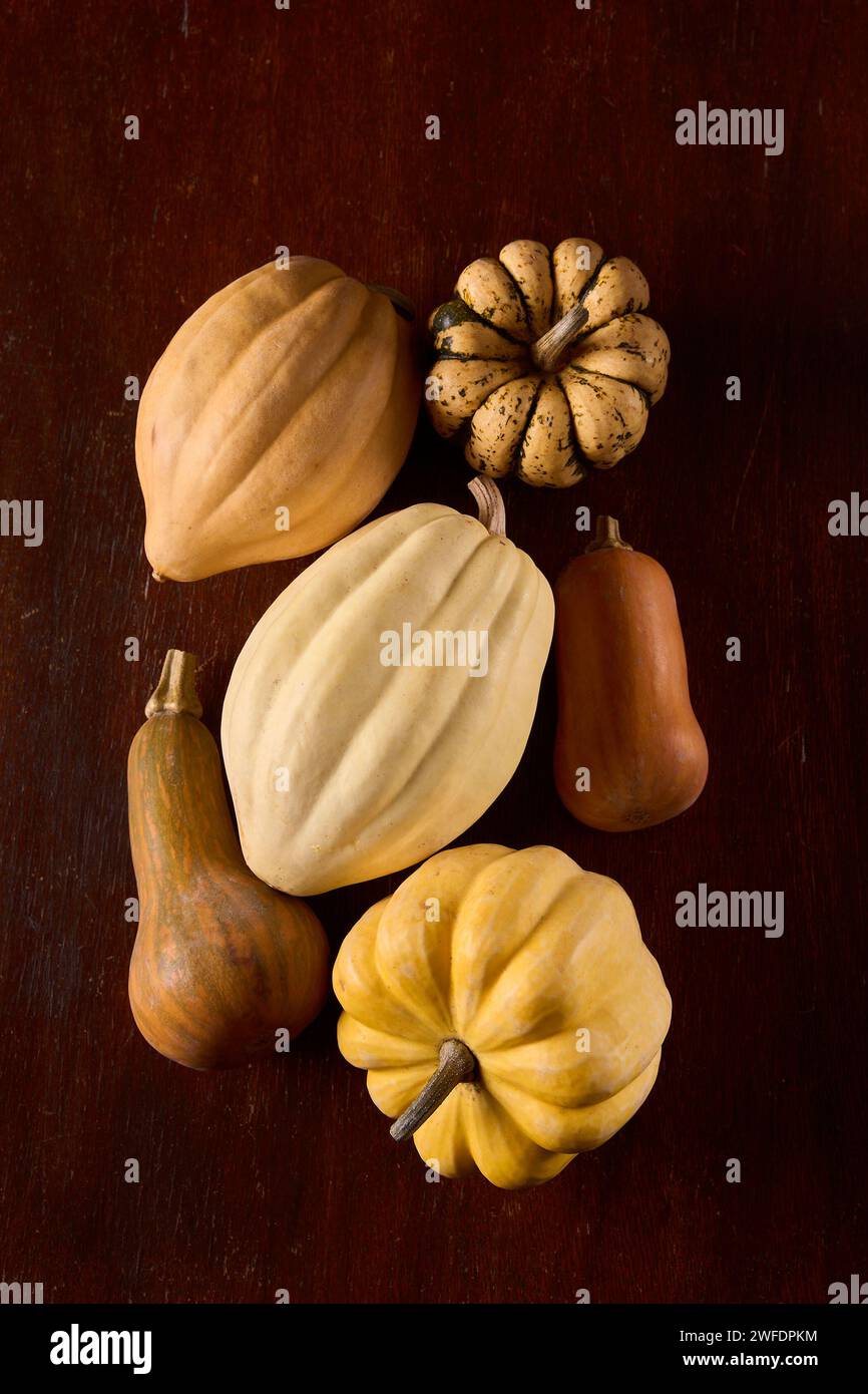 Still life of various varieties of winter squash Stock Photo - Alamy