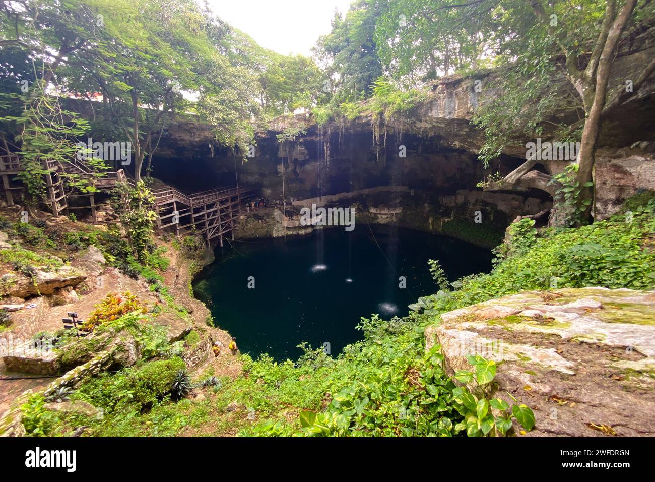 Mayan cenotes underwater hi-res stock photography and images - Alamy