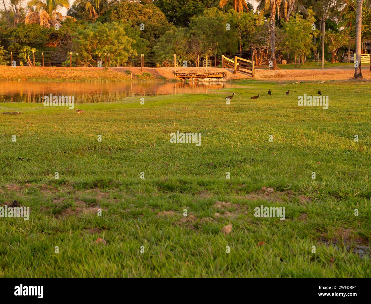 Rural brazil hi-res stock photography and images - Alamy