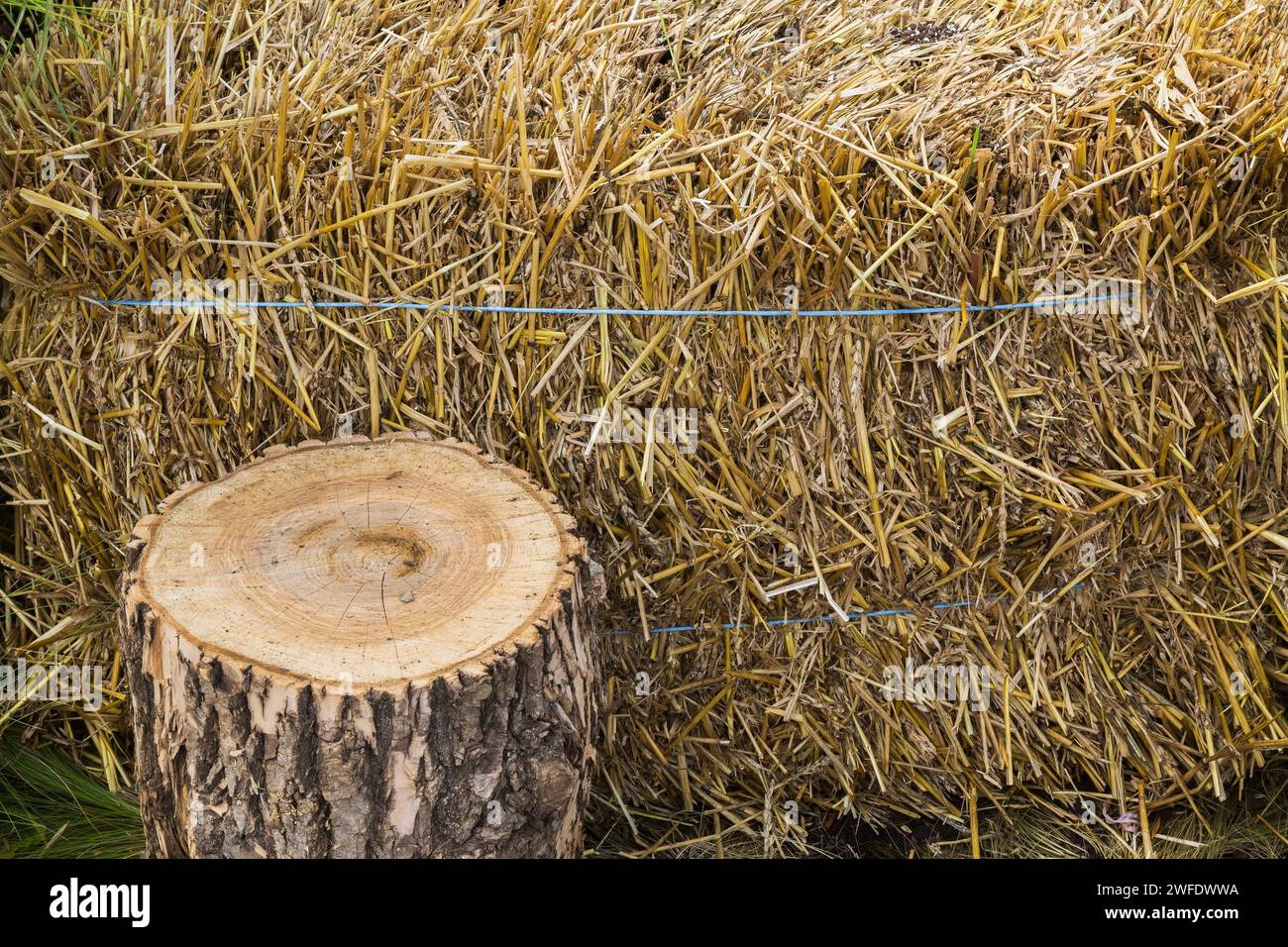 Cut tree trunk and bale of hay in autumn, Quebec, Canada Stock Photo ...