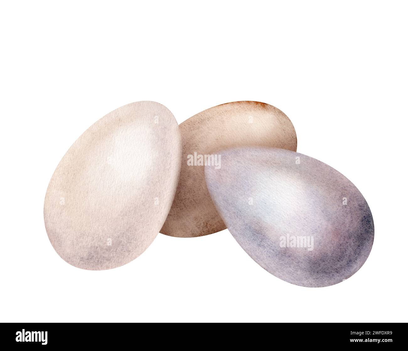 Three chickens eggs shell. Symbols of Easter celebration. Design for ...