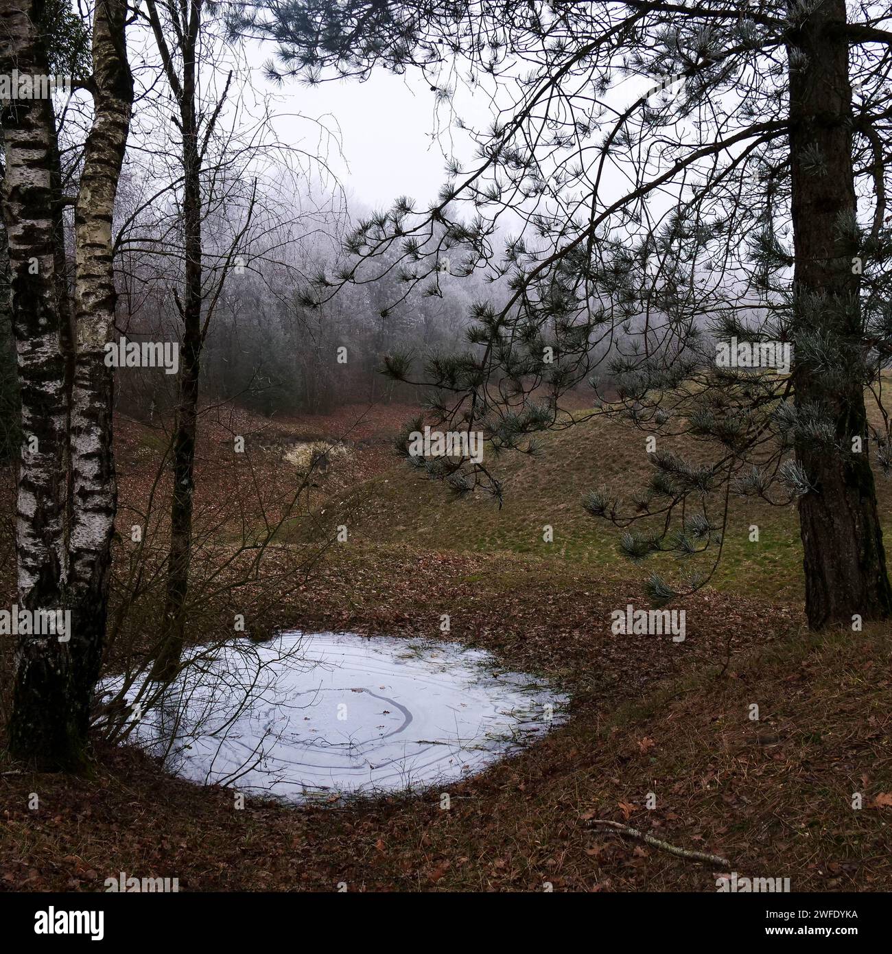 Shell hole, Douaumont fortress area, Verdun region, Meuse, France Stock ...
