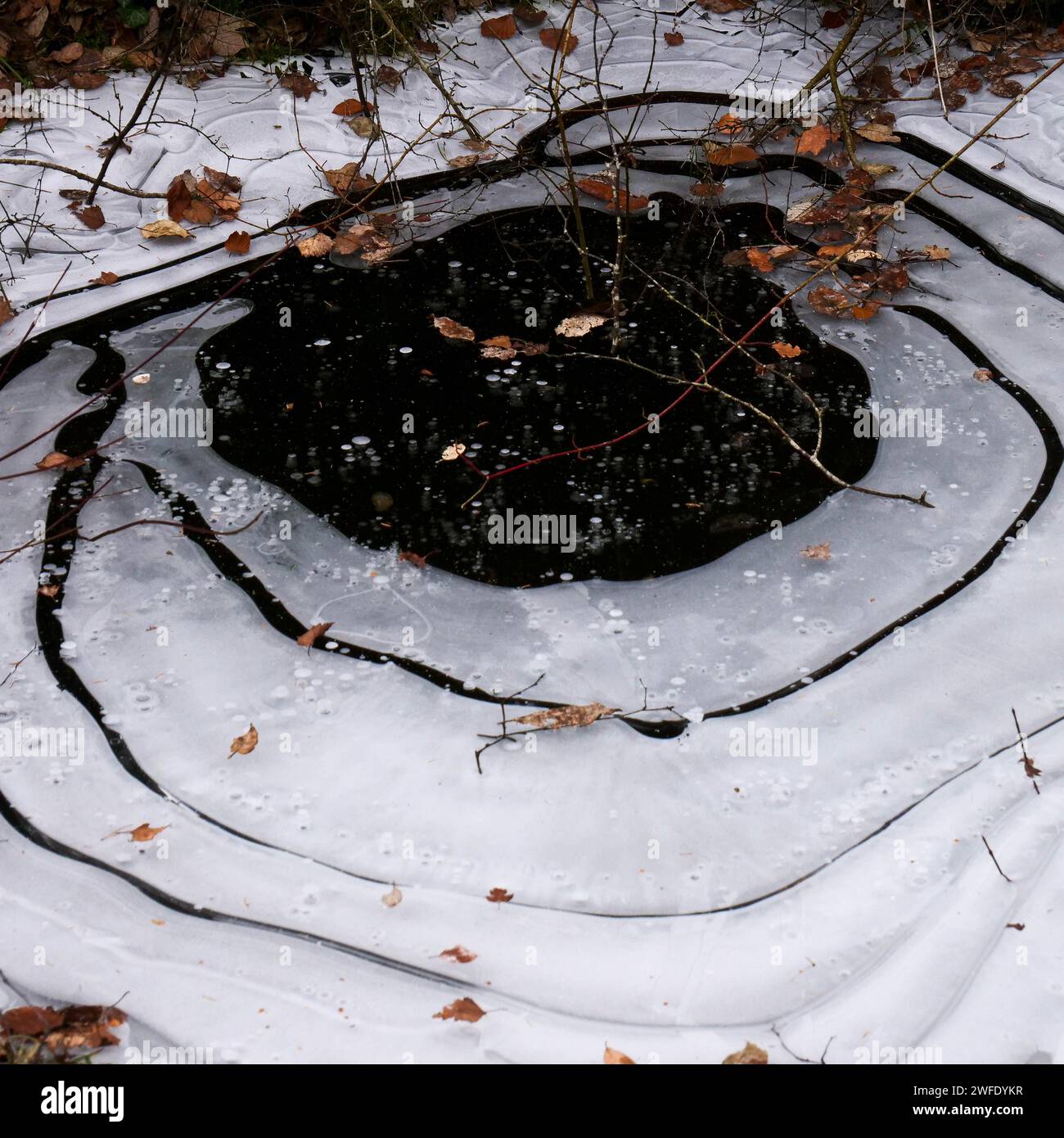 Shell hole, Douaumont fortress area, Verdun region, Meuse, France Stock ...