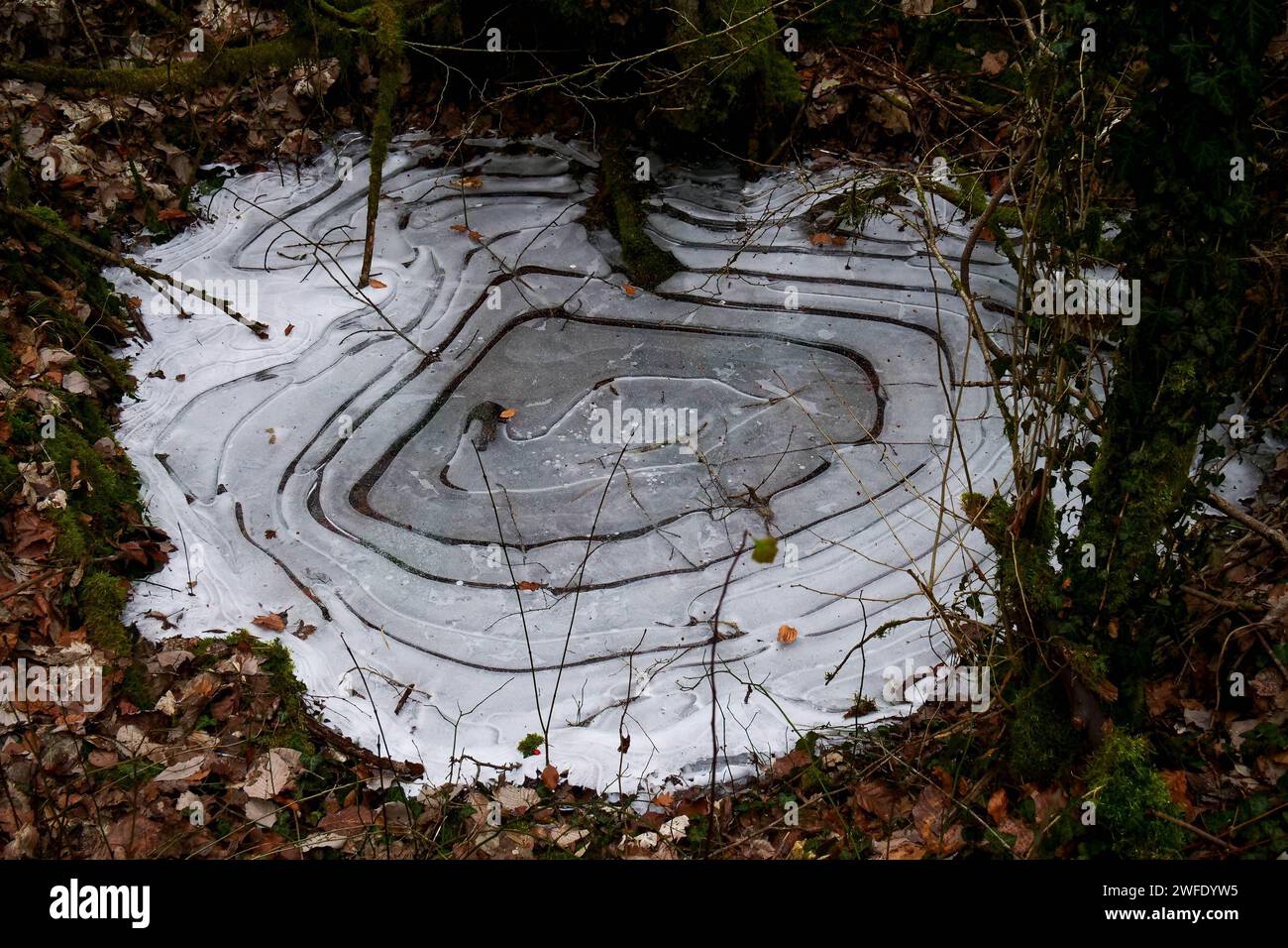 Shell hole, Douaumont fortress area, Verdun region, Meuse, France Stock ...