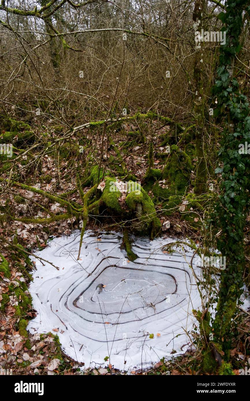 Shell hole, Douaumont fortress area, Verdun region, Meuse, France Stock ...