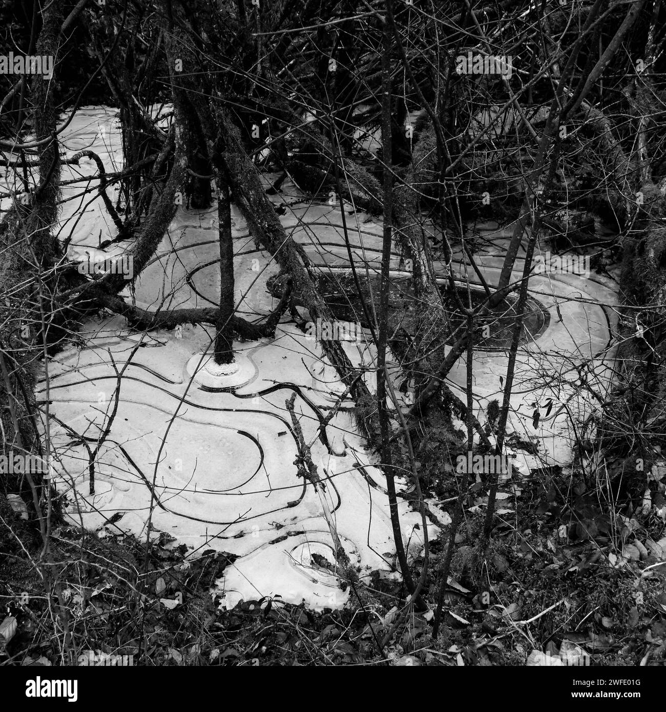 Trou de memoire Black and White Stock Photos & Images - Alamy