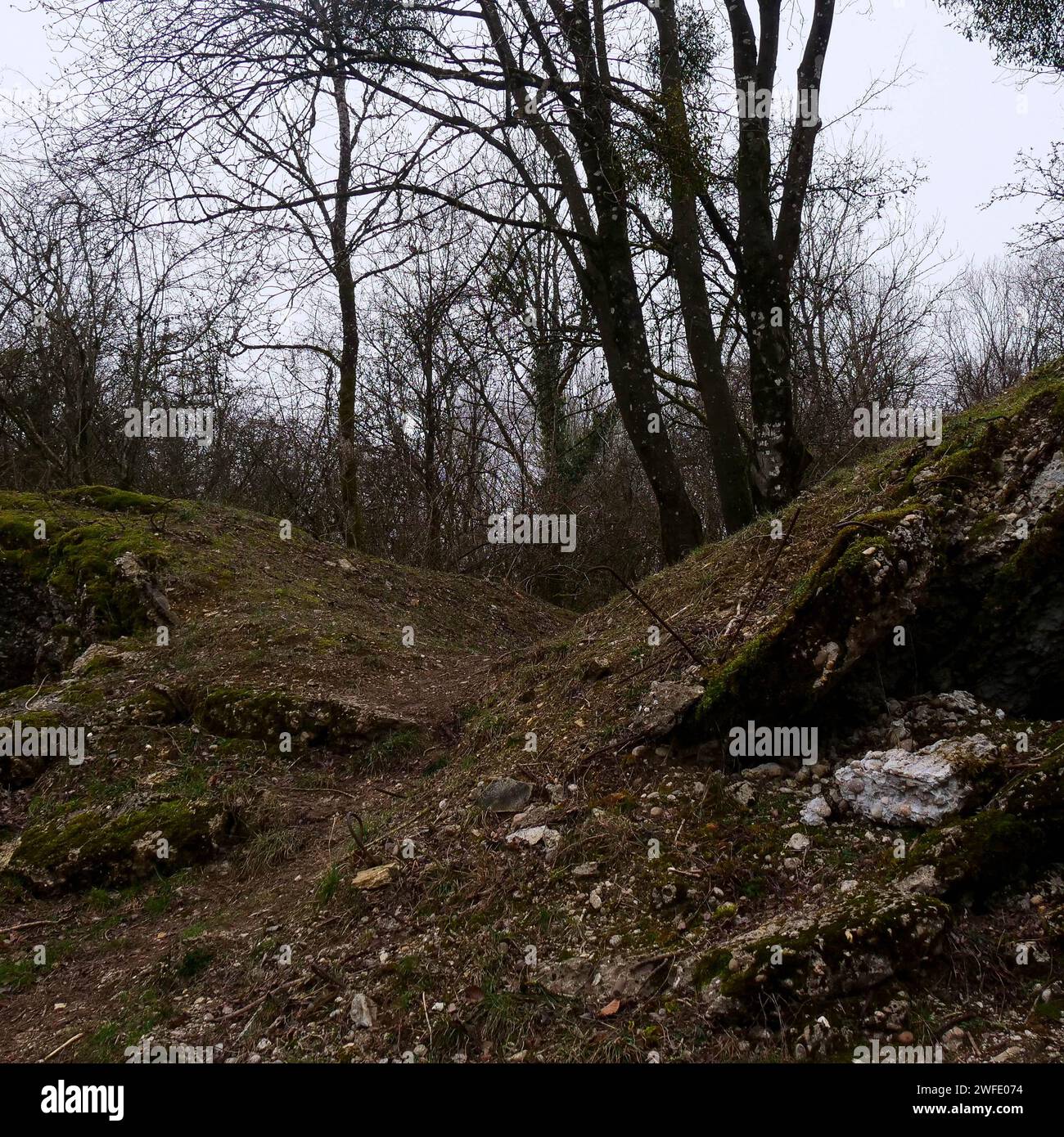 Trench war layout hi-res stock photography and images - Alamy