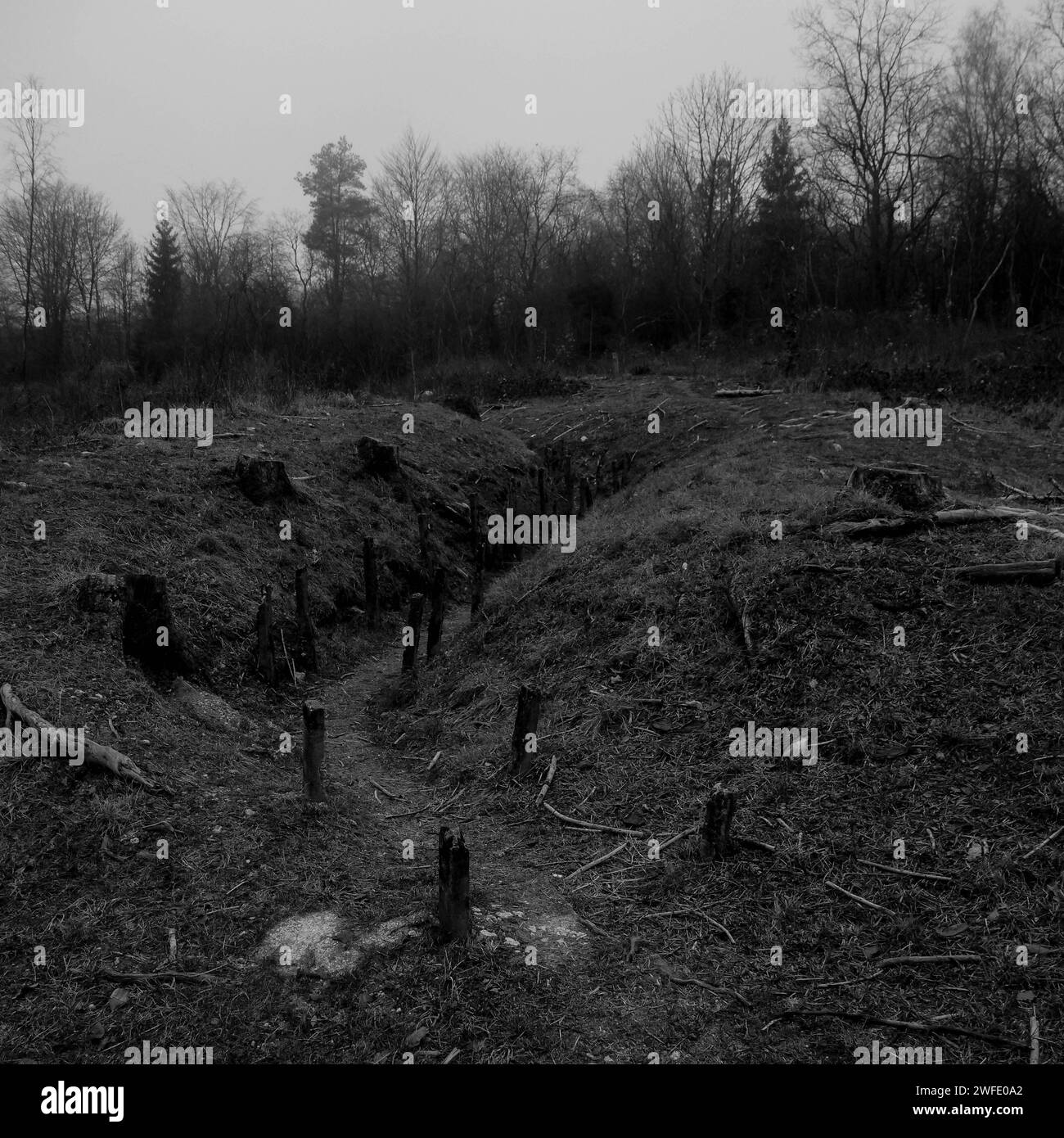 Trench layout Black and White Stock Photos & Images - Alamy